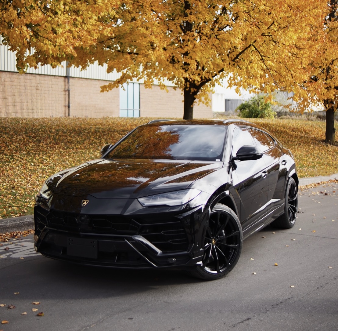 Wrap Kings – Car Wraps & Ceramic Coating